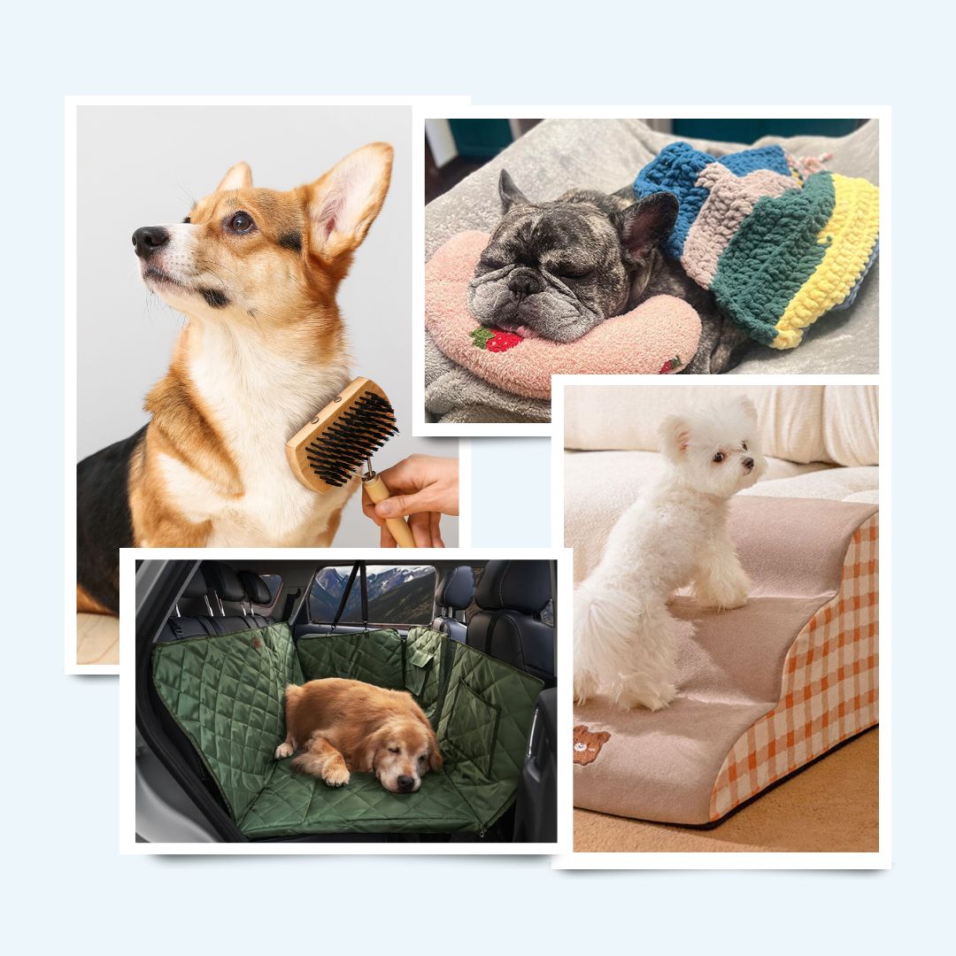 FidoFaves
